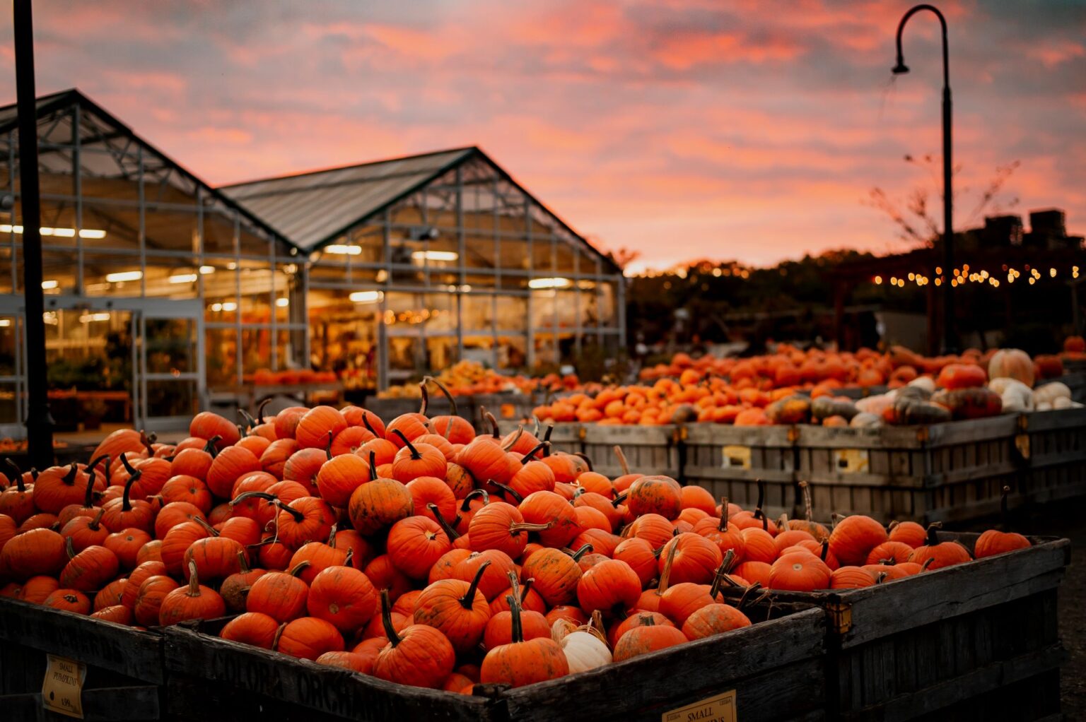 Linvilla Orchards: Each Season Brings More to See and Do - Newtown ...